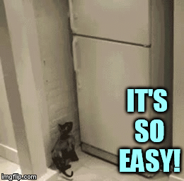 Now Watch Carefully - Imgflip