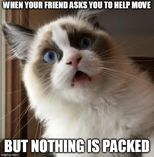 ...or you can learn the hard way. - Imgflip