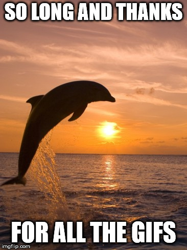 Image tagged in leaping dolphin - Imgflip