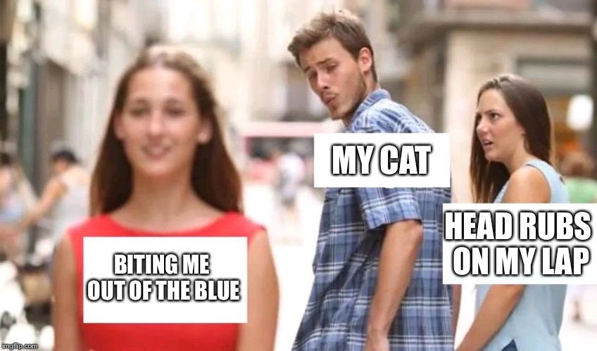 Distracted boyfriend - Imgflip