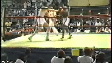 Image tagged in gifs,tyson - Imgflip