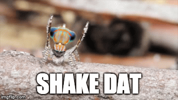 Shake dat - Imgflip