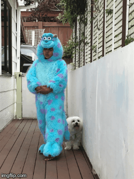 Animated GIF - Imgflip