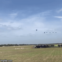 Animated GIF - Imgflip