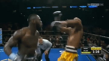 Windmill Wilder - Imgflip