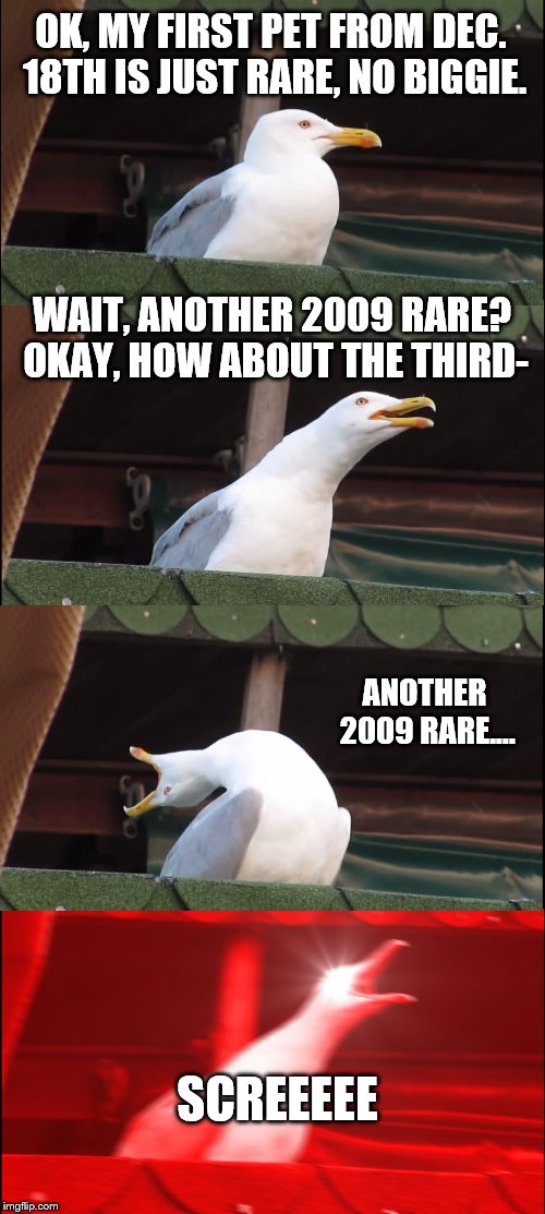 Inhaling Seagull Meme - Imgflip