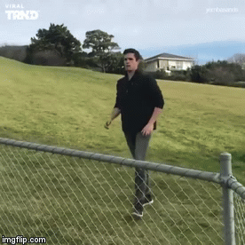 over the fence elegant - Imgflip