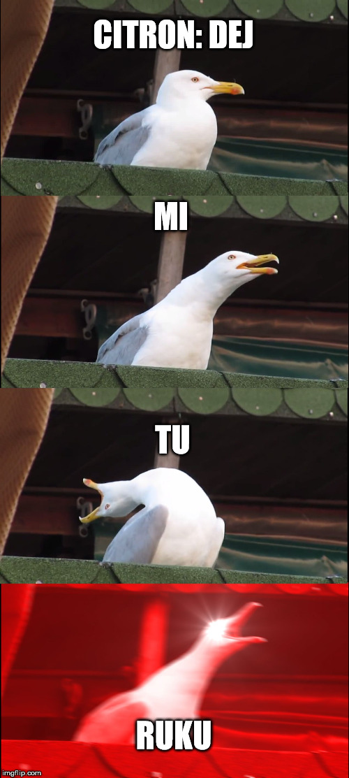 Inhaling Seagull Meme - Imgflip