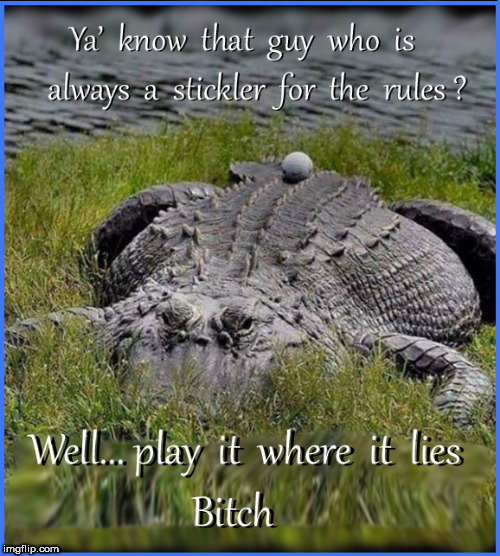 challenging golf shot - Imgflip