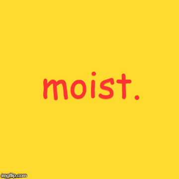 Moist but it's moist - Imgflip
