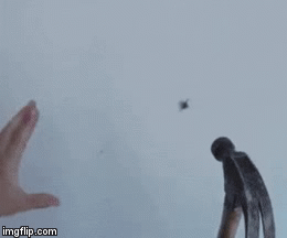 Bug Apocalypse: The Final Solution - Imgflip