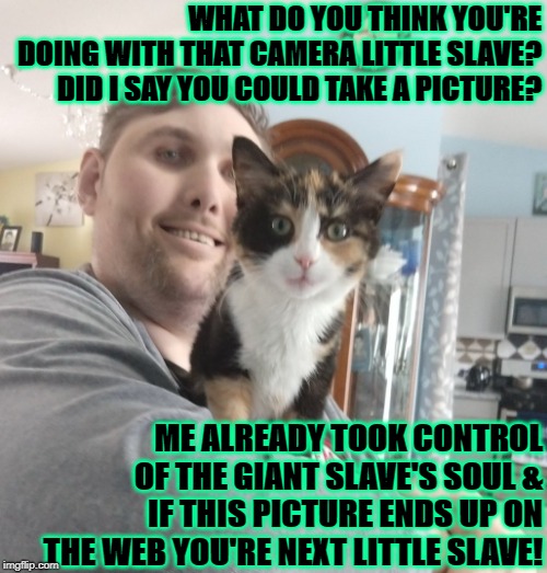 miss tyranny Memes & GIFs - Imgflip