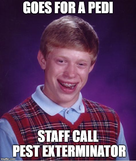 Bad Luck Brian Meme - Imgflip