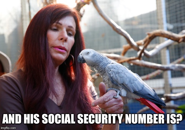 The Shredder - Imgflip