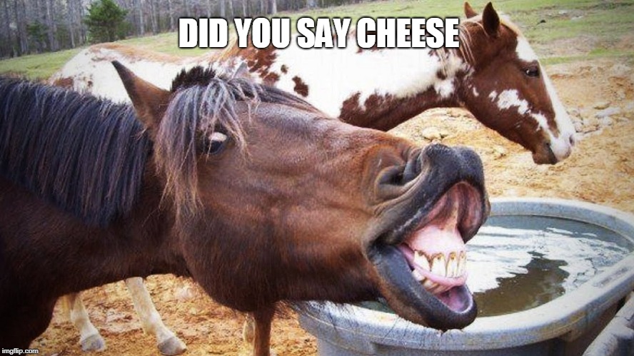 say cheese - Imgflip