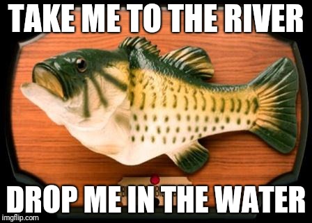 Big Mouth Fish Meme
