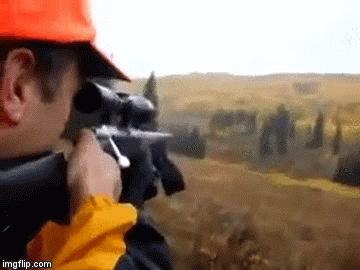 Ok fess up, who is it? > General Discussion > AR15.COM