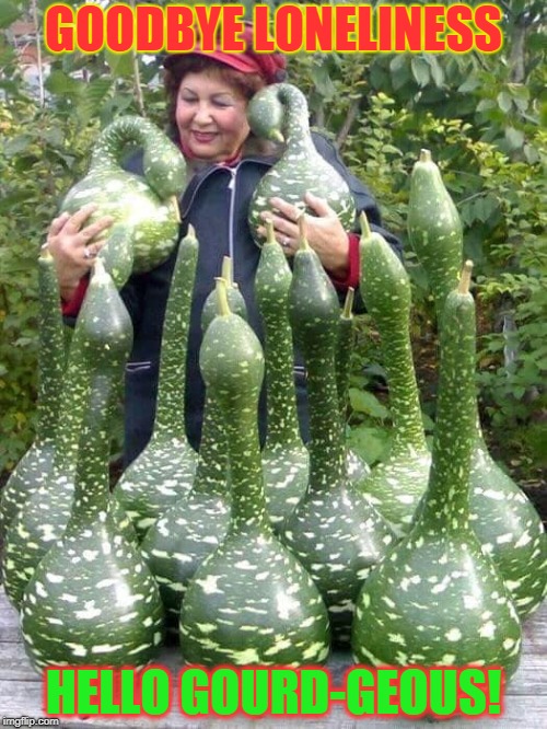 It was then that Phyllis knew she would never need a man again! - Imgflip