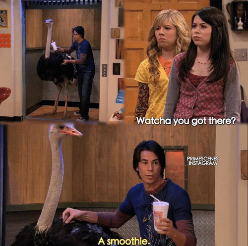 Icarly Ostrich Meme Template Whatcha Got There A Smoothie Meme 