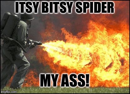 Arachnopyrophobia. - Imgflip