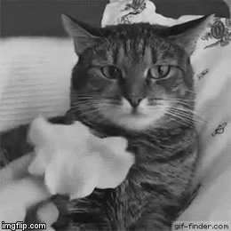 Flashbacks - Imgflip