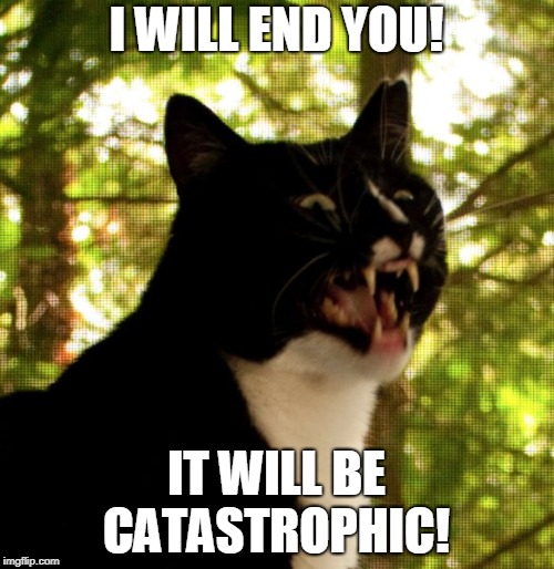 Cat With Guns - Imgflip