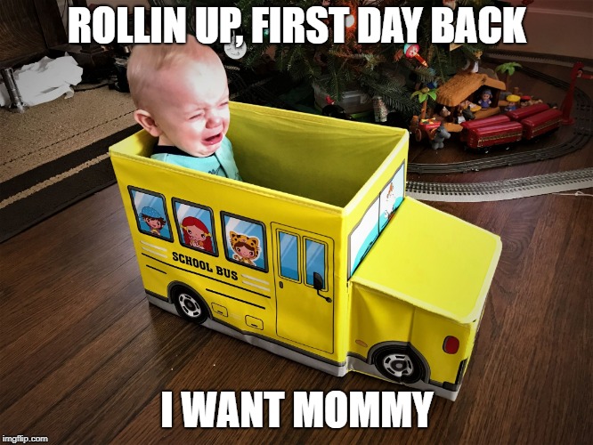 Image Tagged In Sad Bus Baby Imgflip