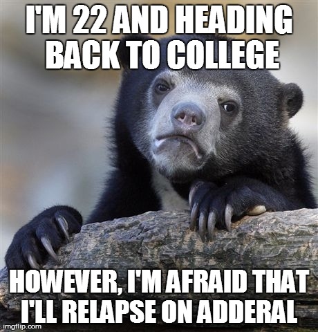 Confession Bear Meme - Imgflip