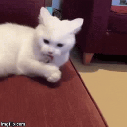 That peppermint taste... - Imgflip