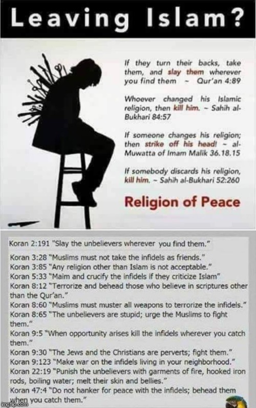Image tagged in leaving islam,die - Imgflip