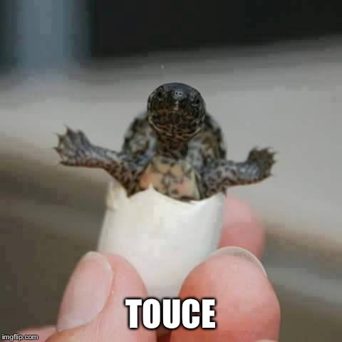 Face You Make Robert Downey Jr Meme - Imgflip