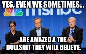 MSNBC hosts are stupid - Imgflip
