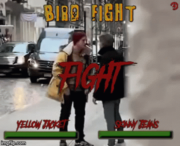 Bird Fight - Imgflip