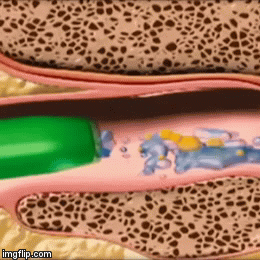 Animated GIF - Imgflip