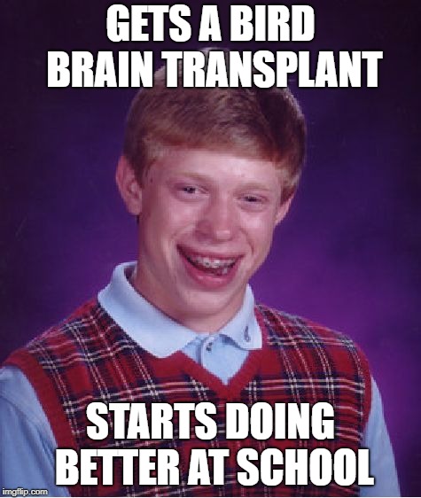 Is This A Pigeon Meme - Imgflip