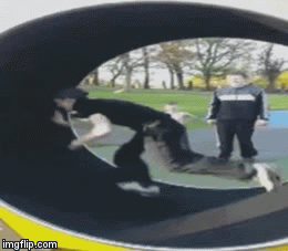 Too fast TOO FAST - Imgflip