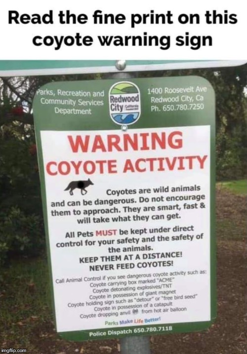 Wife sent me this earlier today... gave me a chuckle. - Imgflip