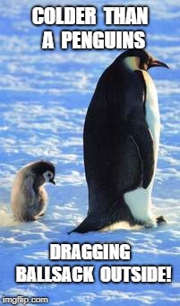 Cold Outside - Imgflip