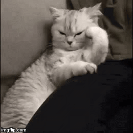 Putting Some Thought Into My Daily Routine - Imgflip