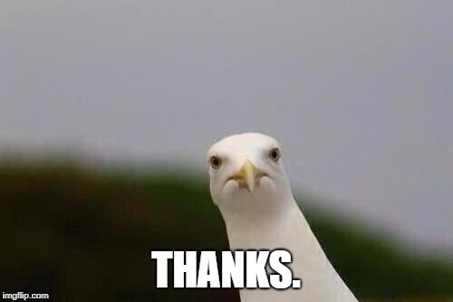 The bird is the word! - Imgflip