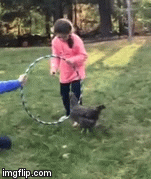 Chicken hop - Imgflip