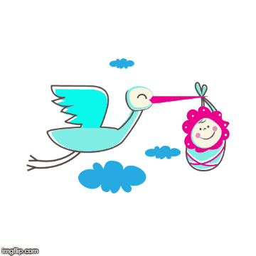 Stork & Baby - Imgflip