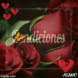 bendiciones infinitas rosas - Imgflip