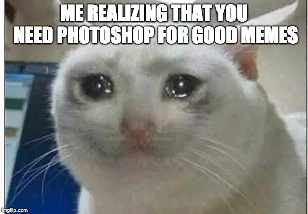 crying cat - Imgflip