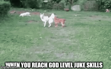 Juke - Imgflip