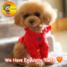 Image tagged in we have exquisite taste - Imgflip