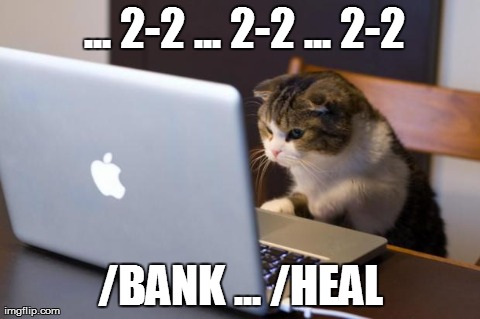 Cat using computer - Imgflip