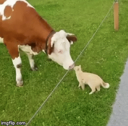 Friends in all shapes and sizes - Imgflip