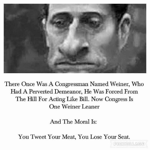 The Rise and Fall of Anthony Weiner - Imgflip