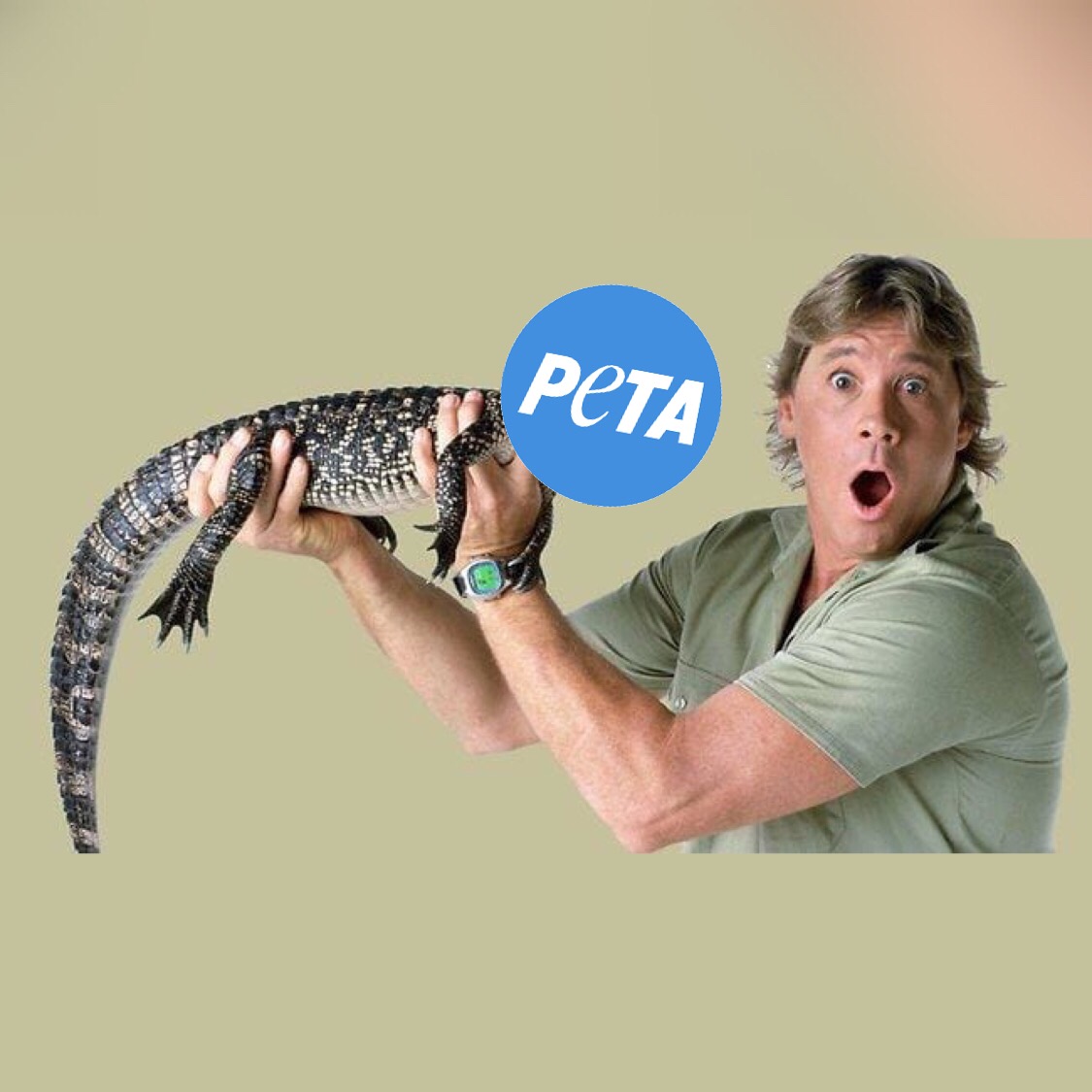 Crikey! Blank Template - Imgflip